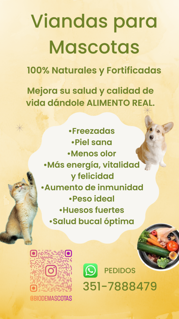 Viandas Naturales para perros y gatos | SEF - SER Económico Fraterno